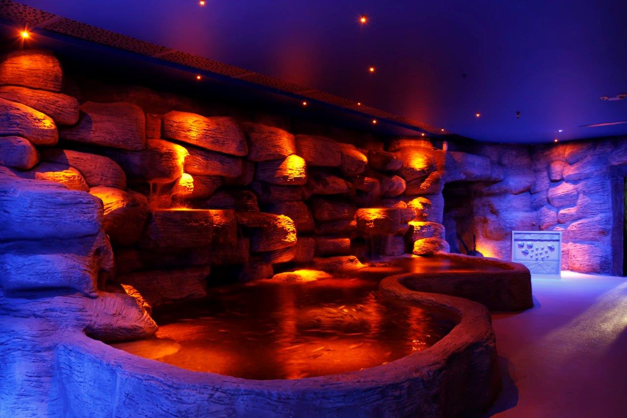 Petting & Touching pools - polingroup.gr